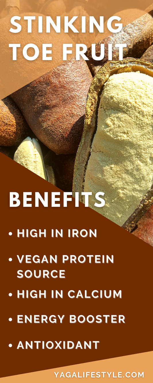 Jamaican Kalawalla Herb (Calaguala, Samambaia) - Uses and Benefits | Y