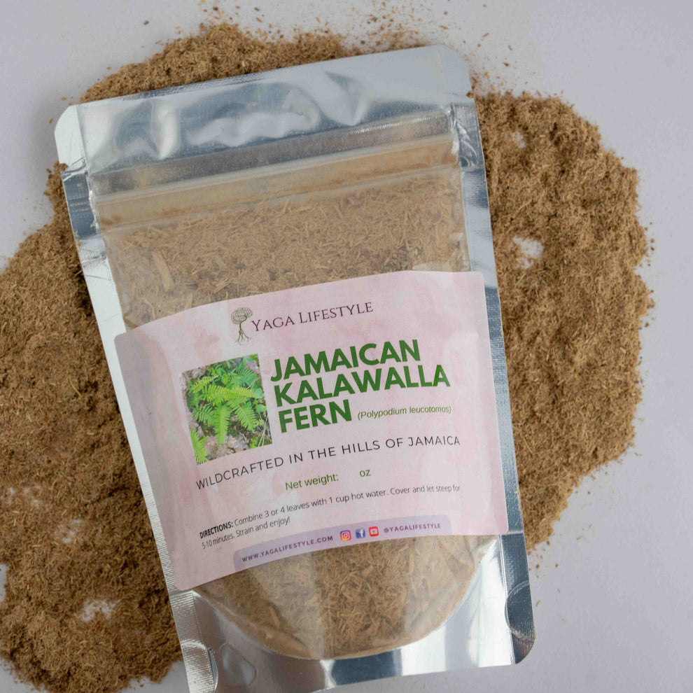 Jamaican Kalawalla Herb | Calaguala | Polypodium Sp. | 2 oz coarse pow